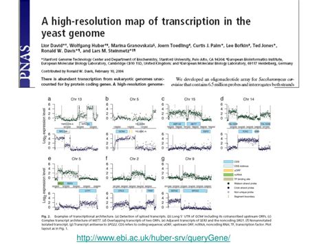 ppt tiling arrays powerpoint presentation free download id 1275163