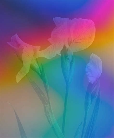 What Is Queer Ecology Science And Nonduality Sand