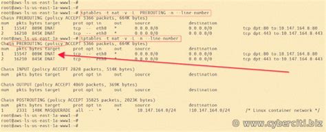 Linux Iptables Delete Prerouting Rule Command Nixcraft