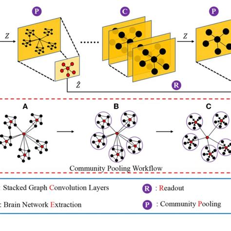 diagram of the proposed hierarchical brain network learning
