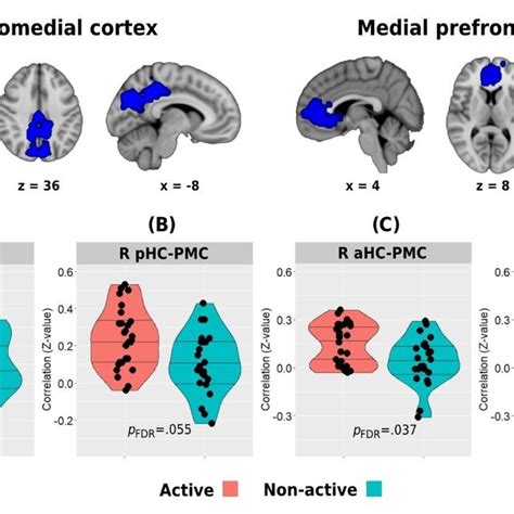 Between Group Differences In Resting State Functional Connectivity Of Download Scientific