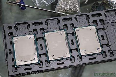 Phoronix Ubuntu 2004 Linux 55 Fresh Benchmarks Of Amd Epyc Rome Vs Intel Xeon Cascade