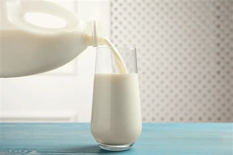 Siete Datos De La Leche