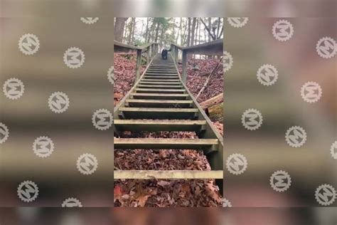 27个相机拍到让人瞠目结舌一幕这将是你一生中第一次见到的事情 相机 事情