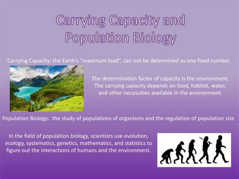 PPT Carrying Capacity PowerPoint Presentation Free Download ID 5927143