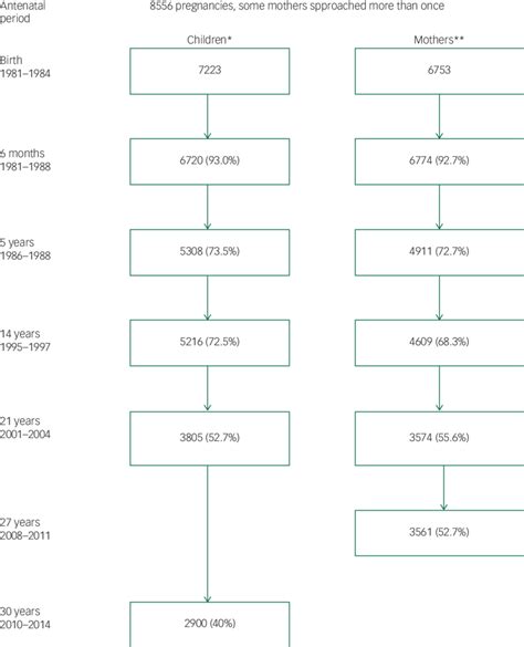Flowchart Of The Number Retained In The Mater University Of Download Scientific Diagram