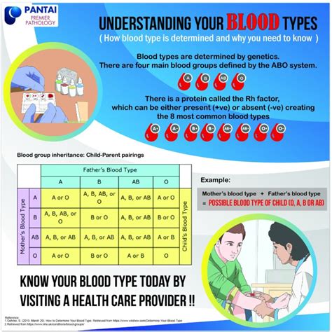 Understand Your Blood Types Premier Integrated Labs