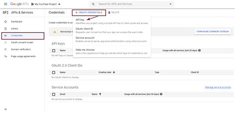 How To Create Youtube Api Key And Client Id Codetides