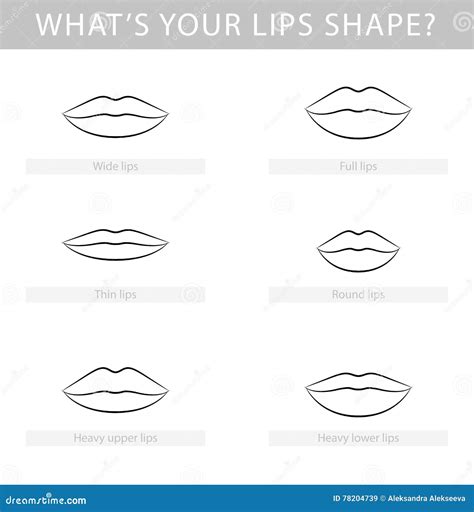 Diversos Tipos De Labios De La Mujer Sistema Del Vector Ilustraci N Del Vector Ilustraci N De