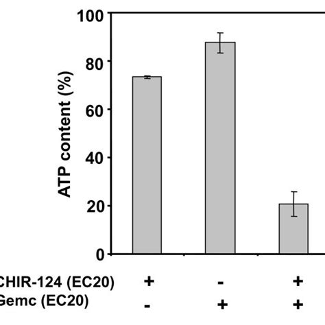 Spatio Temporal Response Of Capan 2 Spheroid To Gemcitabine Analysis