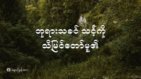 နေ့စဉ်ခွန်အား ၂၀၂၄ ခုနှစ်၊ နိုဝင်ဘာလ ၁၀ ရက် Youtube