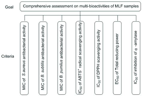 The Proposed Analytical Hierarchy Process Model Download Scientific Diagram