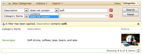 Code On Time Data Controllers Fields Allow Query By Example