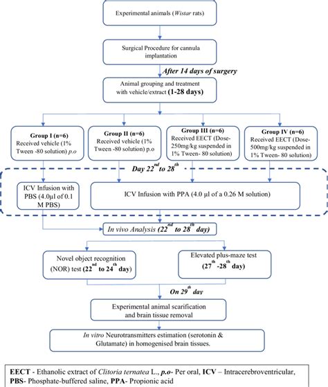 Schematic Diagram Experimental Design Schematic Diagram Of Experimental Design