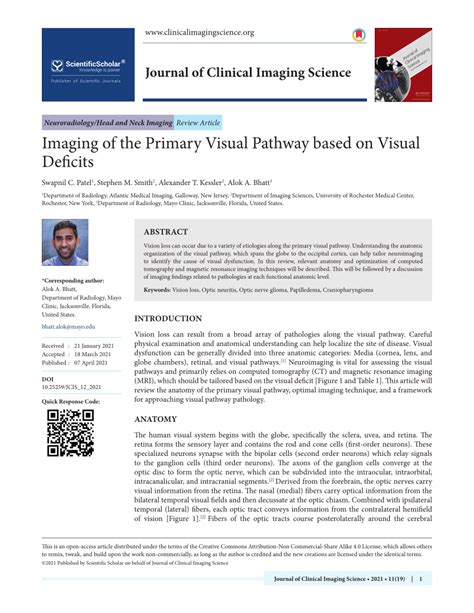 Pdf Imaging Of The Primary Visual Pathway Based On Visual Deficits