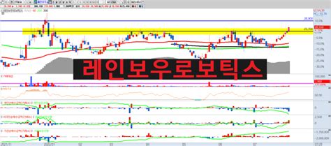 종목분석 레인보우로보틱스 주식전망 흑자전환 앞둔 로봇관련주 현대로템 낙수효과 기대