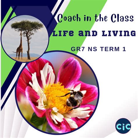 Grade 7 Ns Term 1 Life And Living Classification Coach In The Class Grade 7 Ns Term 1 Life And Living Classification Coach In The Class