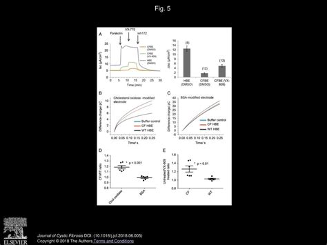 Journal Of Cystic Fibrosis Ppt Download