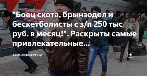 Боец скота брынзодел и бескетболисты с з п 250 тыс руб в месяц Раскрыты самые
