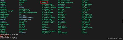 Nginx 第三方健康检测模块的使用nginx Check模块 Csdn博客