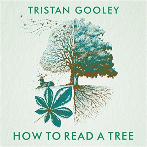 How To Read A Tree By Tristan Gooley Audiobook Audible Co Uk