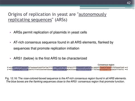 How Genes Travel On Chromosomes Ppt Download