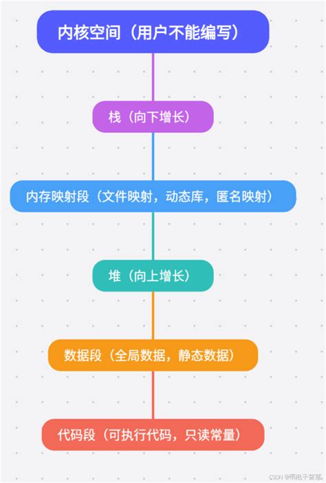 C C 内存管理 Csdn博客