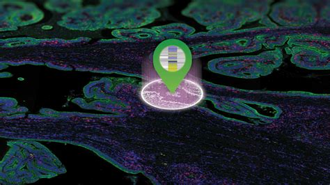 Your First Geomx® Dsp Experiment A Step By Step Guide