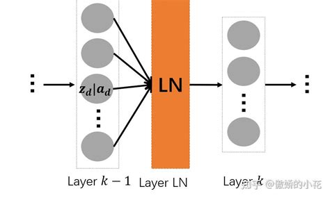 神经网络高频面试题详解 知乎