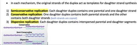 Gene 3200 Replication Flashcards Quizlet