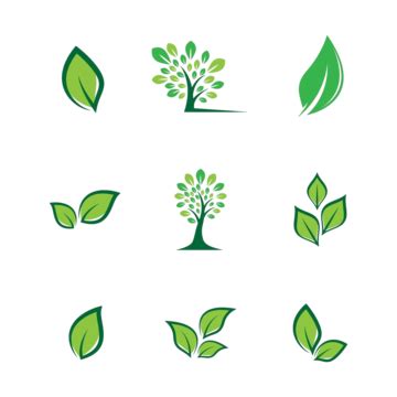 Leaf Logo Vector Icon Illustration Life Tree Background Vector Life Tree Background PNG And