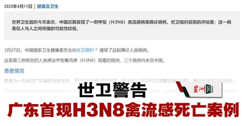 世卫中国出现首起h3n8禽流感人类死亡案例