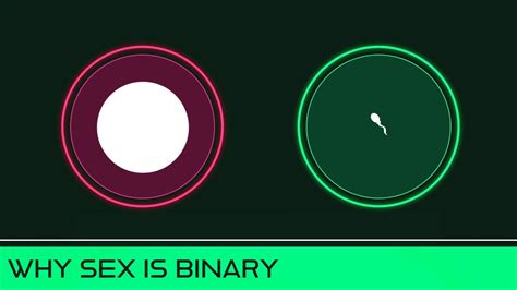 Why Sex Is Binary YouTube