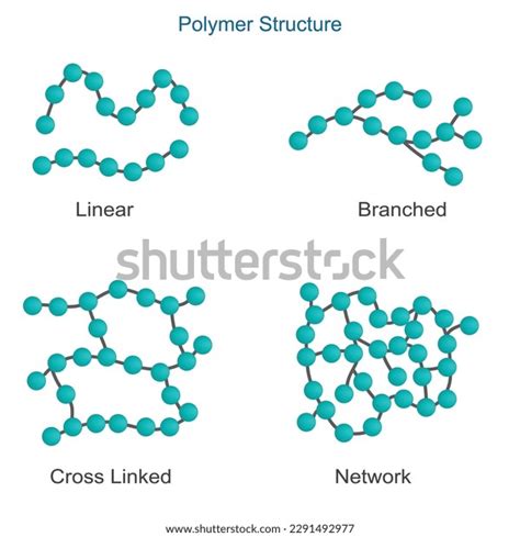 Four Basic Polymer Structures Linear Branched Stock Vector Royalty Free 2291492977 Shutterstock