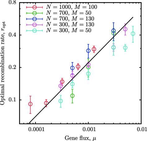 The Optimal Recombination Rate In The Model As A Function Of The Gene