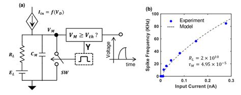 Fig S5 A Behavioral Circuit Model For Lif Neuron Simulation In Download Scientific Diagram Fig S5 A Behavioral Circuit Model For Lif Neuron Simulation In Download Scientific Diagram