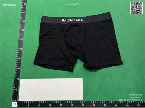 Costed About 100 To Ship My Pandabuy Agent Even Warned Me About The Stone Island Shorts Being