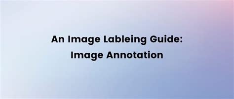 An Image Labeling Guide Image Annotation