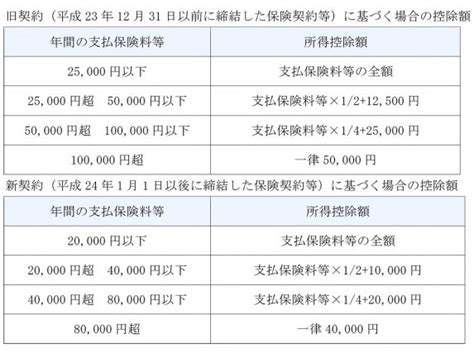 保険 控除額 上限 Hoken Nays