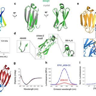 Crystal Structure Of The Dig14 Dimer A Sec Mals Analysis Of Dig14