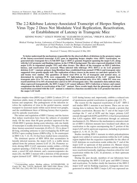 17 Bullet Journal Method Pdf Rawdhahfinley
