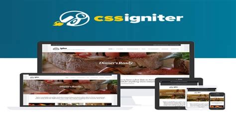Download CSS Igniter Igloo WordPress Theme V1 9 1 Free