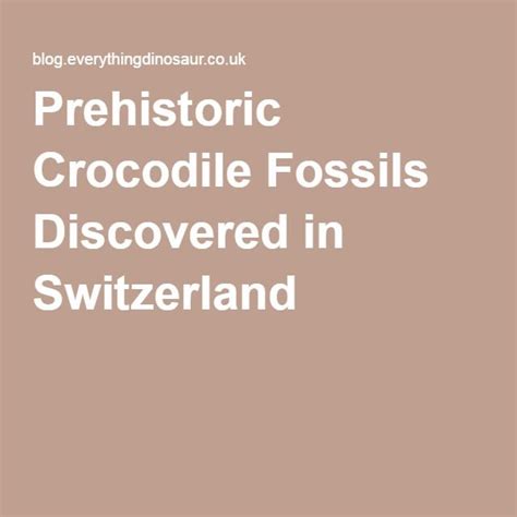Prehistoric Crocodile Fossils Discovered In Switzerland Prehistoric