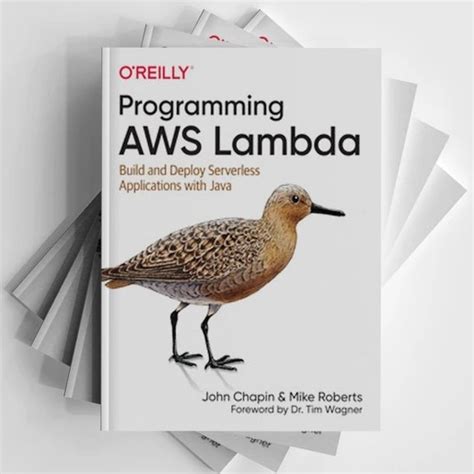 خرید و قیمت Programming Aws Lambda ترب