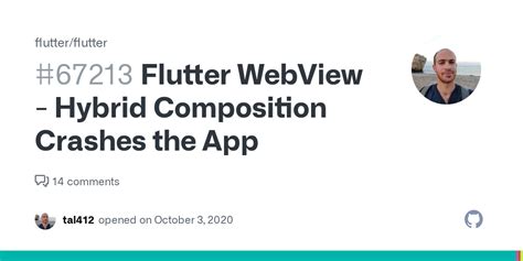 Flutter Webview Hybrid Composition Crashes The App · Issue 67213