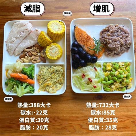 營養師 Nuturefit 快tag男性朋友來看💪🏻💪🏻💪🏻 這次整理了男生的一日菜單 男生減脂可以從1800大卡開始 基本上全外食會比較貴 可以的話還是自己煮一餐會更好喔！ 如果大家想要