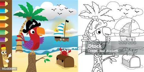 벡터 일러스트 레이 션 여름에 해변에서 해적 모자를 쓴 재미있는 앵무새의 색칠하기 책 해적 요소 만화 게에 대한 스톡 벡터 아트 및 기타 이미지 Istock