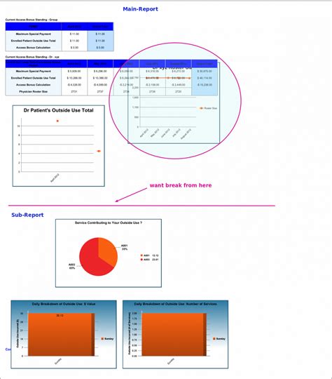 Page Break Not Working And Charts Side By Side Not Showing Products