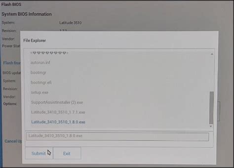 flashing the bios from the f12 one time boot menu dell us