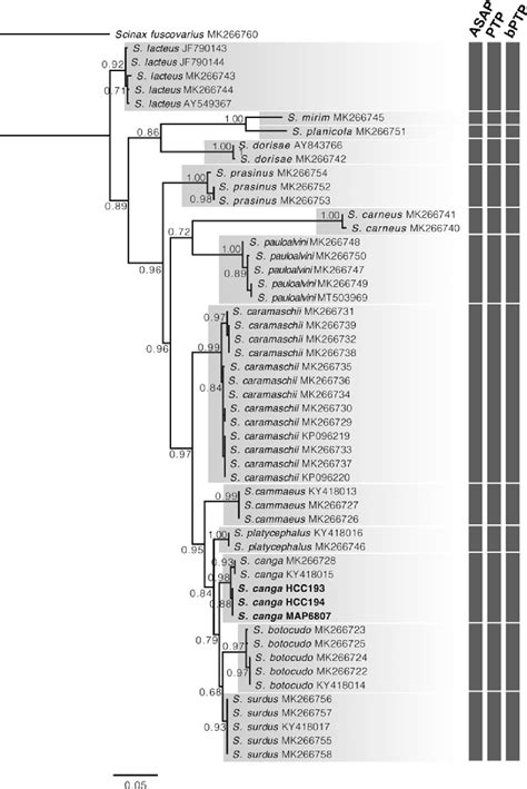 Figure 1 From Dna Barcoding Reveals A New Population Of The Threatened Atlantic Forest Frog
